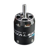 Dualsky Motor – Flight Model