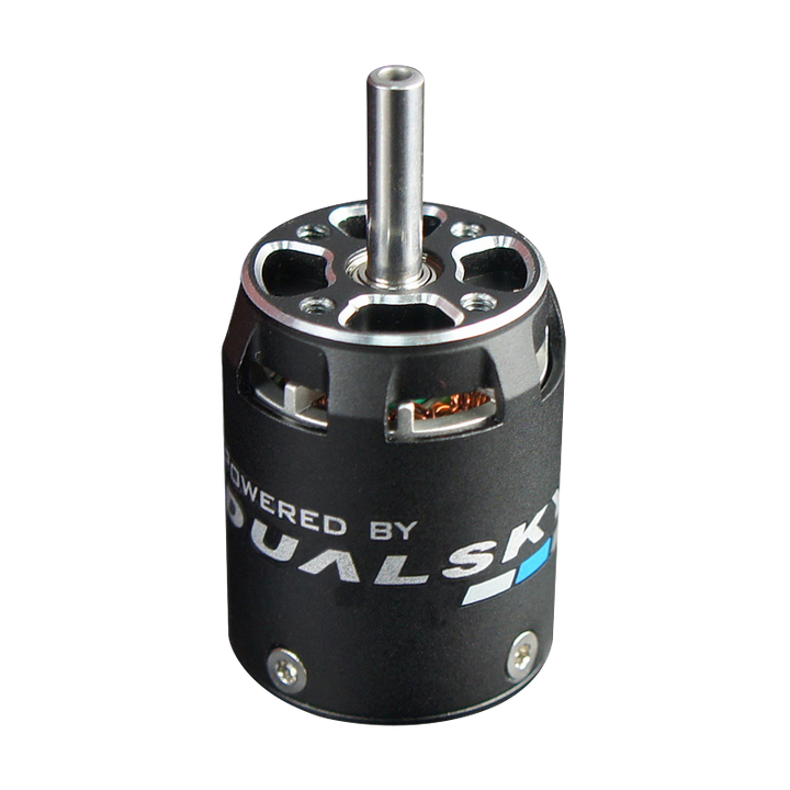 Dualsky Motor – Flight Model