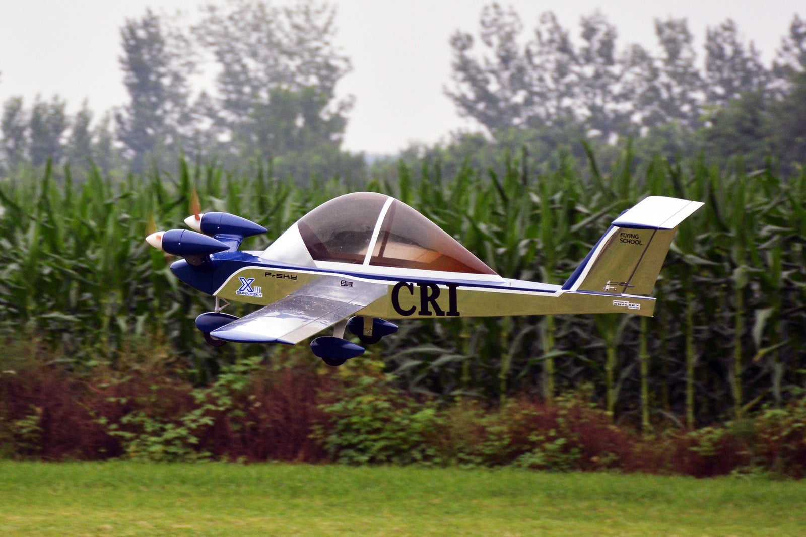 CRI-CRI 70 "/ 1778mm 6CH Radio Control ARF Electric Scale RC Plane ...