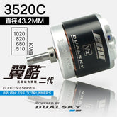 Dualsky Motor – Flight Model