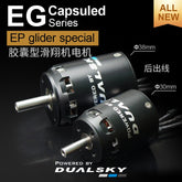 Dualsky Motor – Flight Model